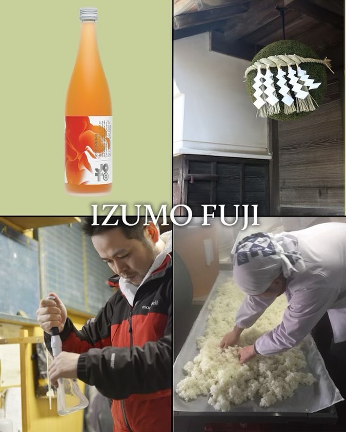 Saké Nomi